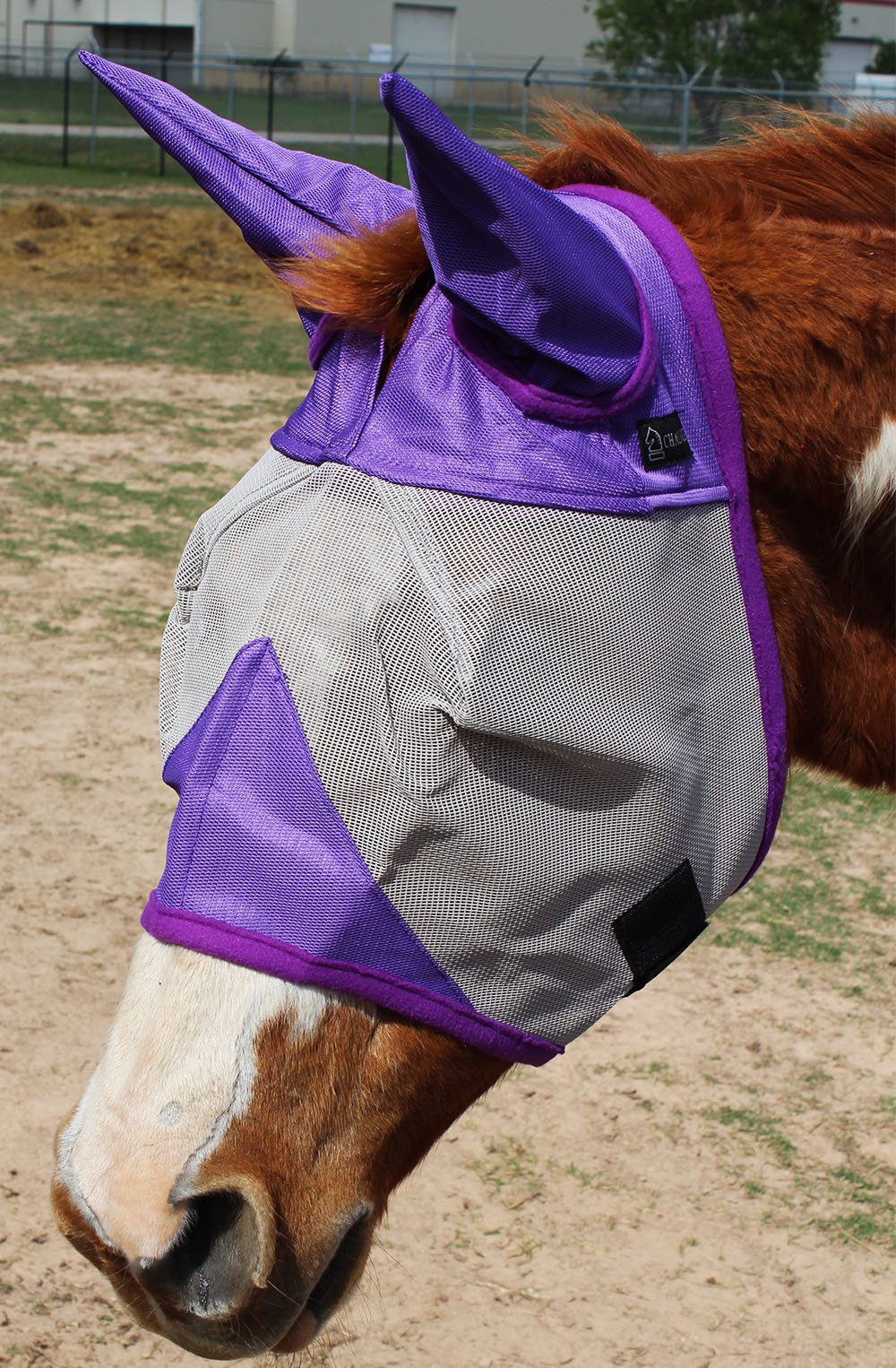 Equine Horse FlyMask Summer Spring Airflow Mesh 73294
