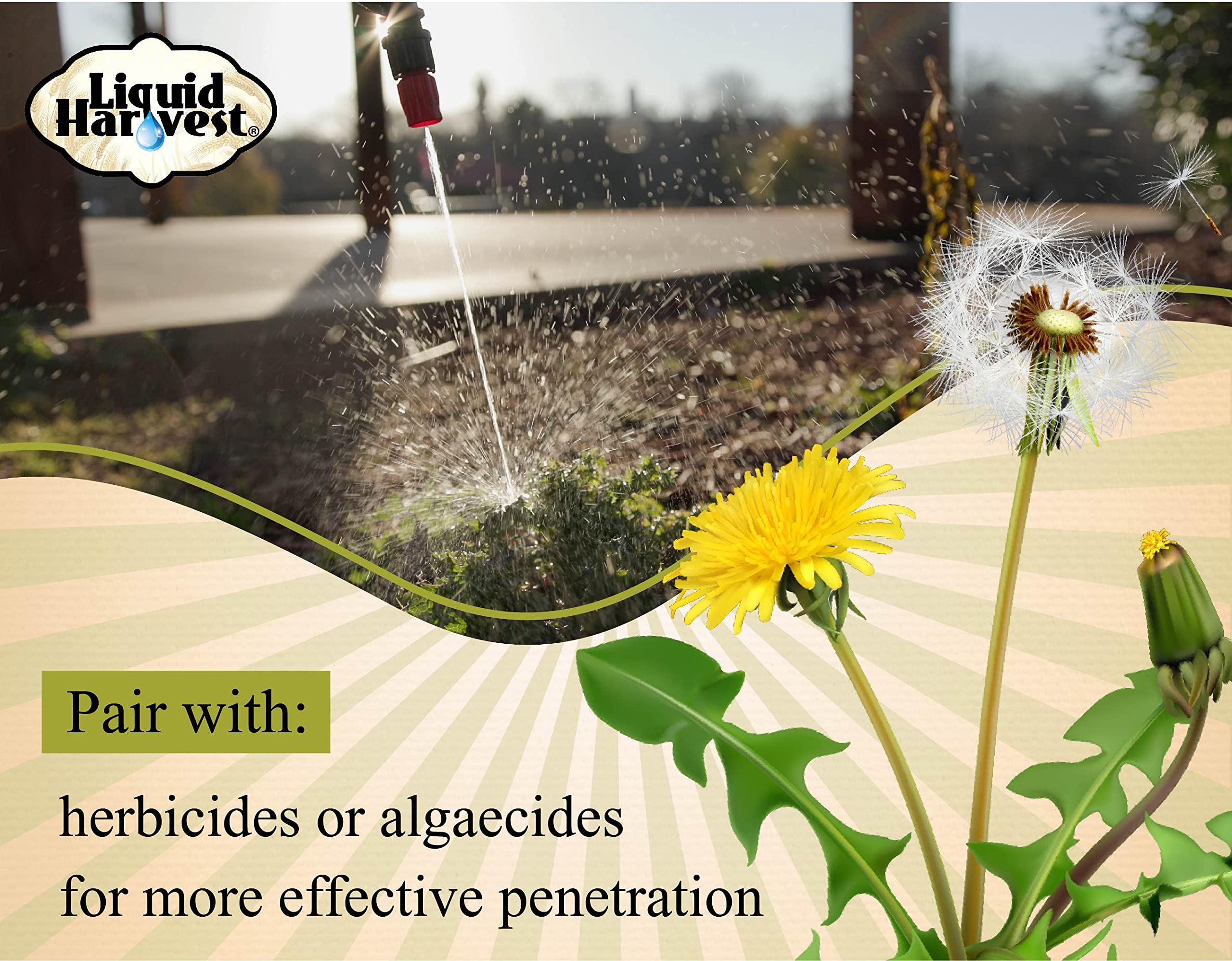 Liquid Harvest Concentrated Surfactant for Herbicides Non-Ionic Gallon (128oz), Increase Product Coverage, Increase Product Penetration, Increase Product Effectiveness