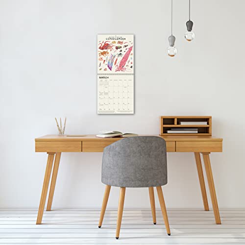 High Note 2024 Monthly Wall Calendar Planner, 16-Month Art Calendar: September 2023 - December 2024, 11" x 12" - Orders of The Animals