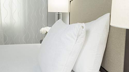 Protect-A-Bed, Premium Cotton Terry Pillow Protector, Zippered, Waterproof, 1-Pack, Queen Size
