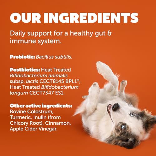 Protexin Daily Care Gut+ Immunity, 60 probiotic and postbiotic Dog Supplement Chews โ Turkey and Cranberry Flavored