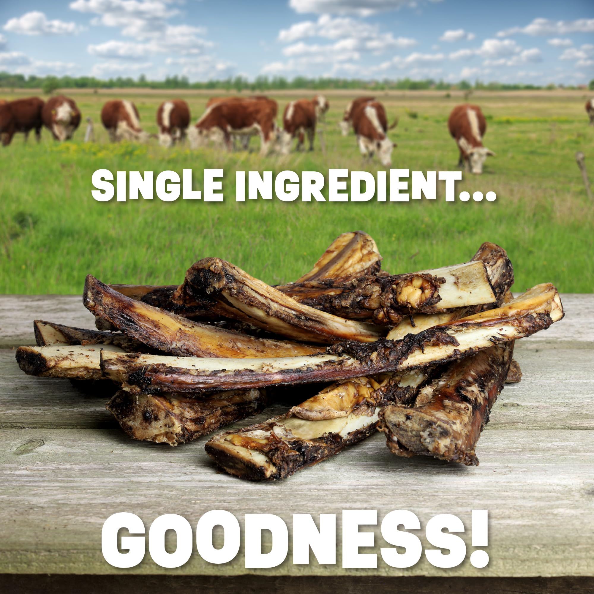PUPDAWGS Single Ingredient Dog Bones - Made in USA – 8-10” Beef Rib Bones - Natural Dog Bones for Aggressive Chewers - from USDA Inspected Beef - Hickory Smoked - Individually Wrapped (8 Piece Pack)