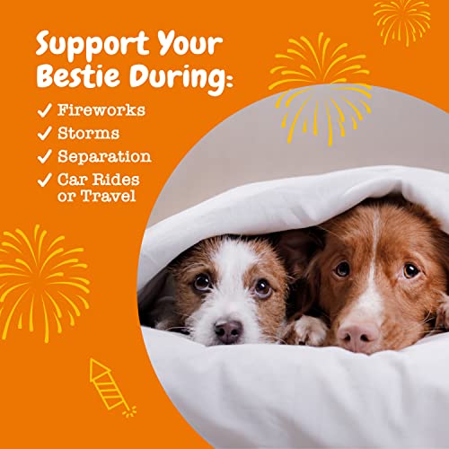 Zesty Paws Calming Chews for Dogs - Composure & Relaxation for Everyday Stress & Separation - with Ashwagandha, Organic Chamomile, L-Theanine & L-Tryptophan β Bison - 90 Count
