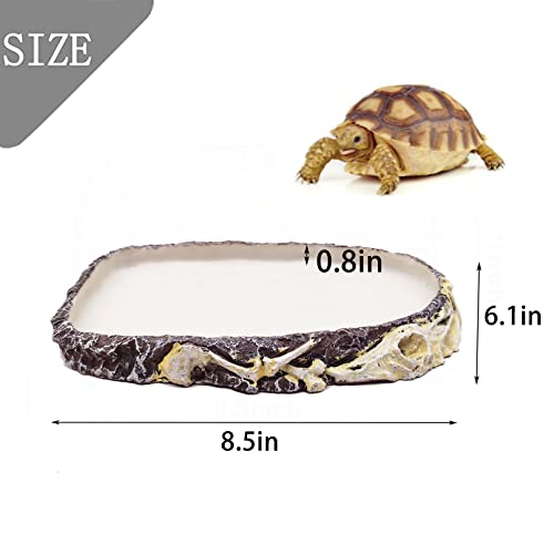 Tfwadmx Reptile Water Bowl Reptile Rock Food Dish Reptile Feeder Food and Water Feeding Bowl for Lizard Bearded Dragon Turtle Frog Leopard Gecko Snake Chameleon