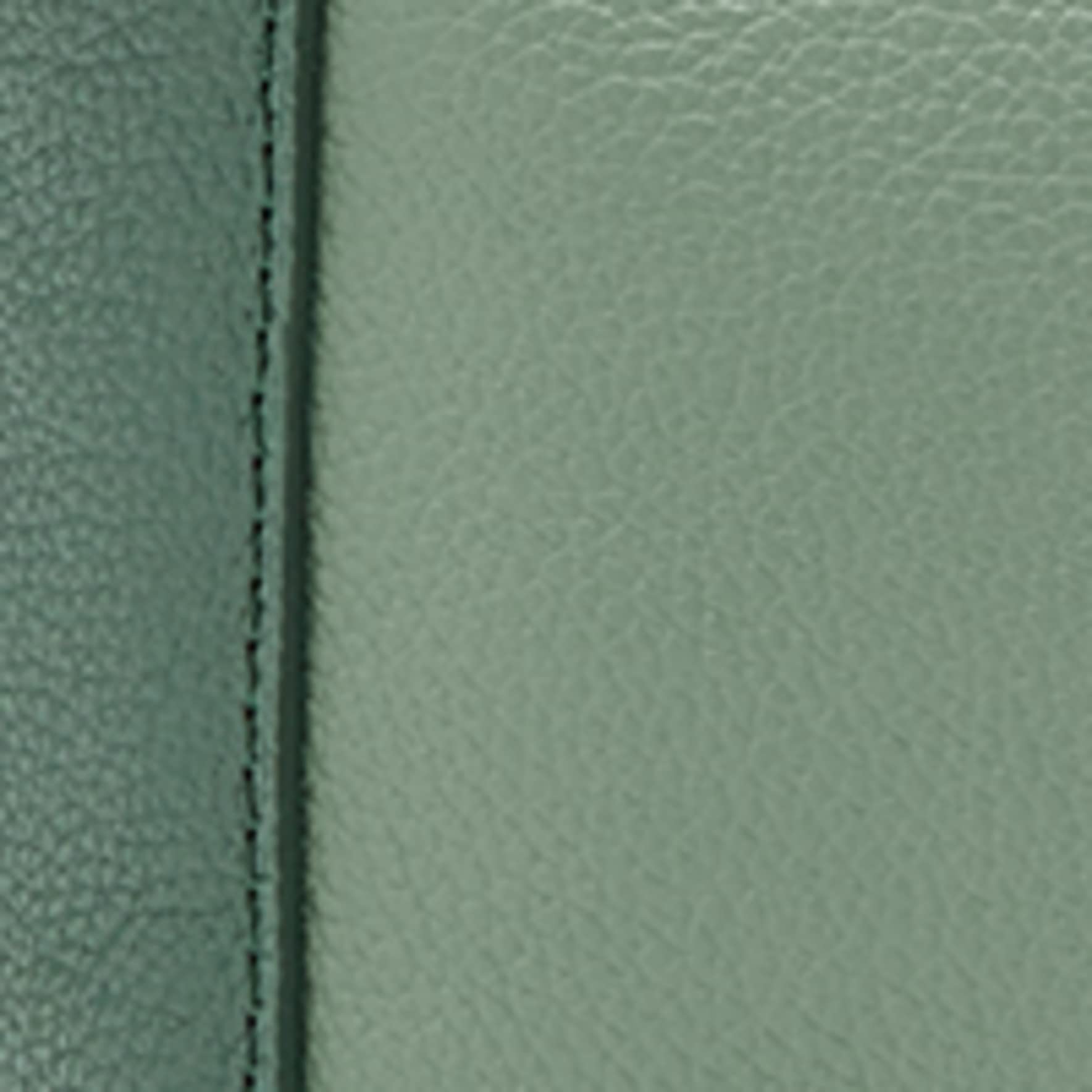 Fossil Women's Tara Eco-Leather Crossbody Purse Handbag, Balsam (Model: ZB1718297)