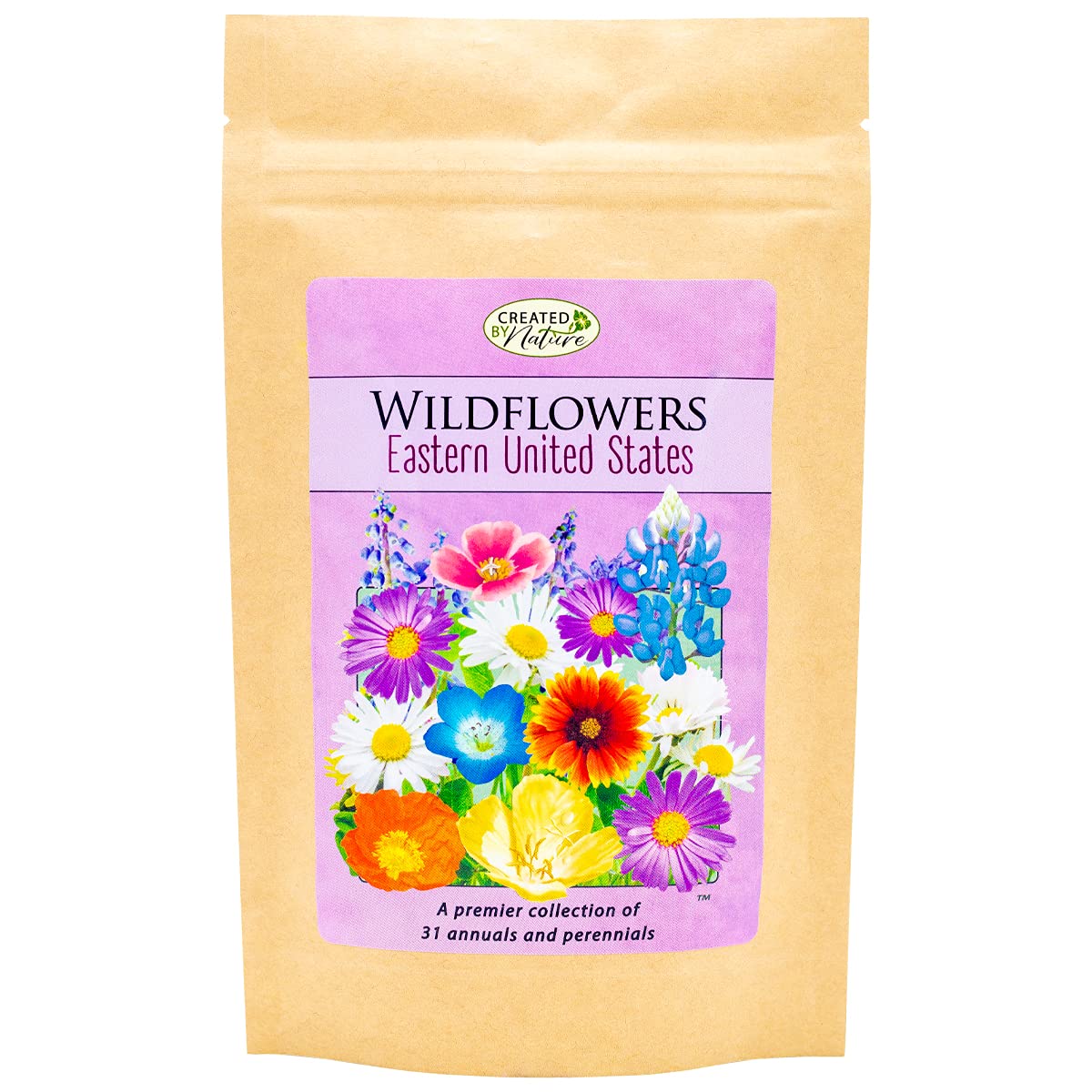 Eastern United States Wildflower Seed Mix - Over 35,000 Premium Seeds - by 'createdbynature'