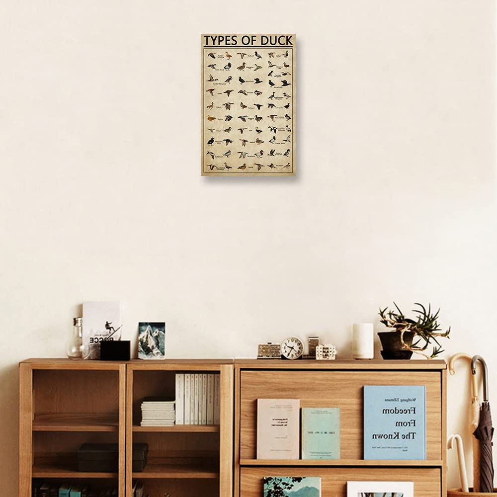 Duck Wall Art Knowledge Poster Educational Wall Art Duck Poster Canvas Framed Wall Art Animal Posters Vintage Duck Picture Prints Framed (12x18 inch)