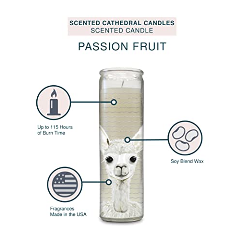 Scented Cathedral Candle by Studio Oh! - 13-Ounce Soy-Blend Wax Pillar Candle in Decorative Glass Container - Passion Fruit - Burns up to 115 Hours
