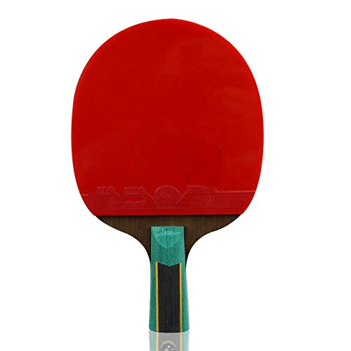 Hewen-Ping Pong Set Professional Table Tennis Racket 9 Star Table Tennis Bat Set with 1 Rackets, 10 Balls, Suitable for Trainers, Amateurs, Beginners, Expert Table Tennis Bat (Size : Short)