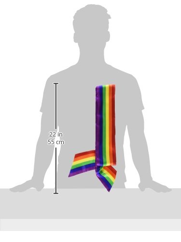 Rainbow Satin Sash Party Accessory (1 count) (1/Pkg)