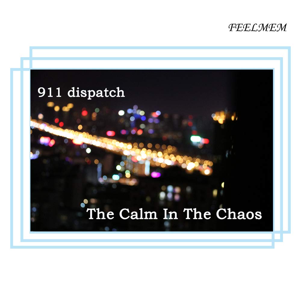 FEELMEM 911 Dispatcher Gift Emergency Operator Responder Gift The Calm in The Chaos Dispatch Keychain Gift for 911 Operator Police Emergency Dispatcher (key-911)