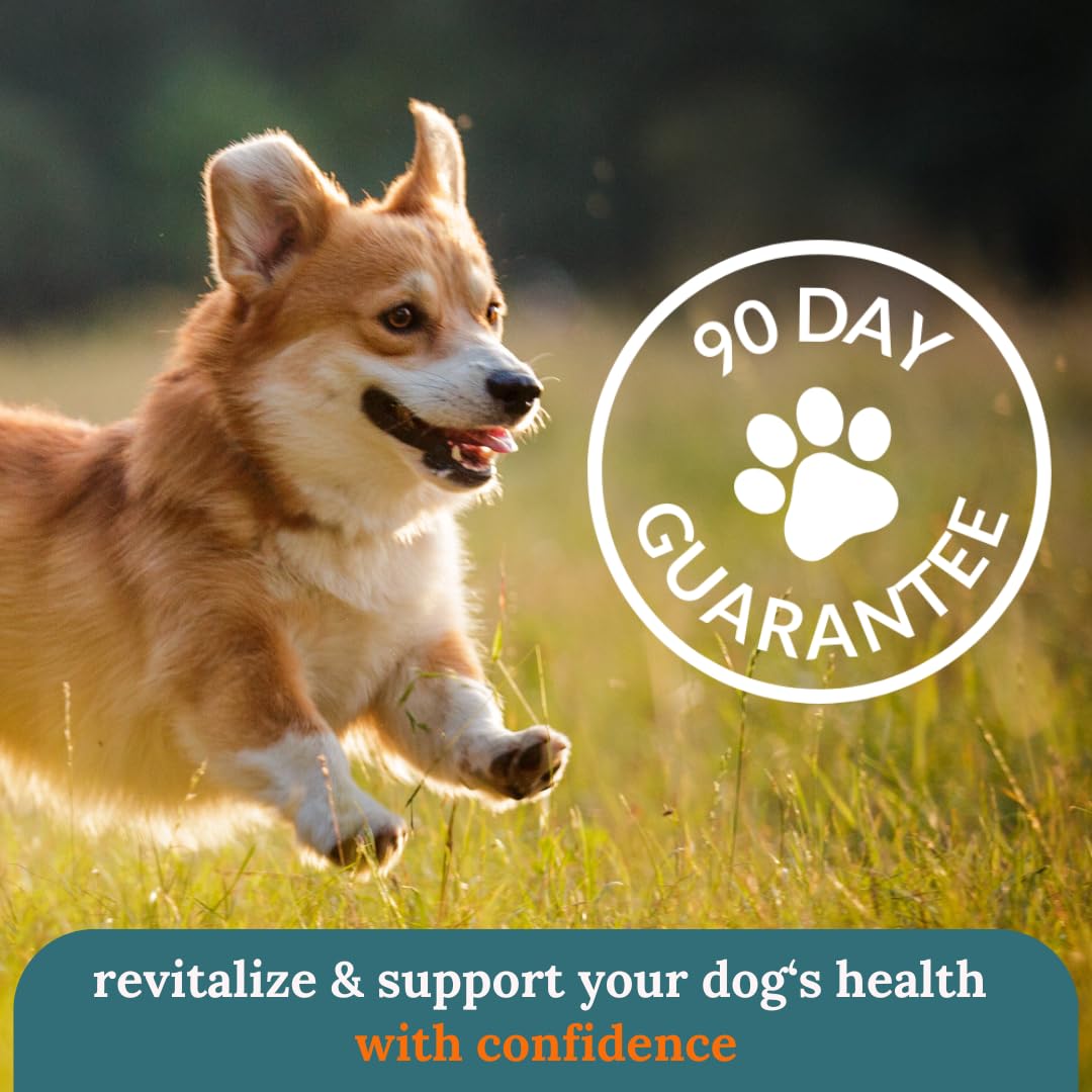Pawful Pure Mobility - Natural Hip & Joint Dog Chews - Mobility & Joint Health Dog Supplement - Improve Flexibility, Motion & Activity - Tasty Bacon Flavor - USA Made (90 Chews)