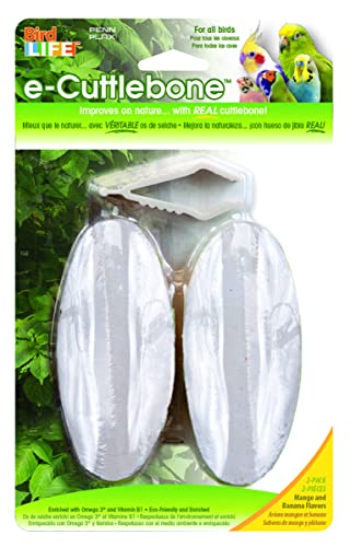 PENN-PLAX Small Bird Starter Kit with Birdcage and Accessories β Great for Parakeets, Lovebirds, Parrotlets, Finches, Canaries, and More β Arch Style Cage β White