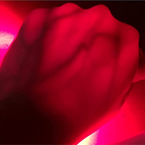 MUBOYI Hand Held Infrared Vein Finder, Portable Vein Viewer Locator Detector Illumination Visualization Lights for Nurses Family Clinics,White