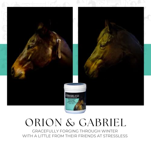 StressLess Hot Horse Supplement - 60 Day Supply - Promotes Calm & Focus - All Natural