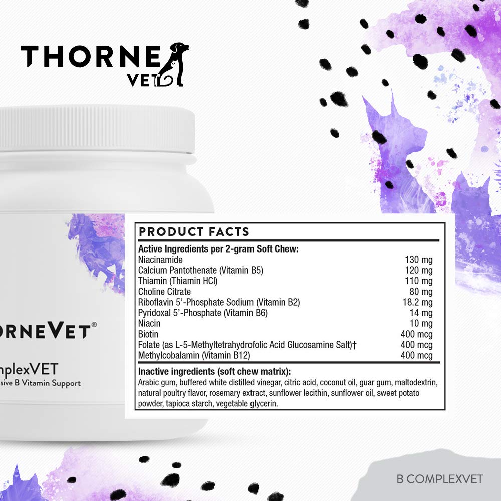 ThorneVET B ComplexVET β Vitamin B Complex Support for Dogs, Cats & Horses, 60 Soft Chews