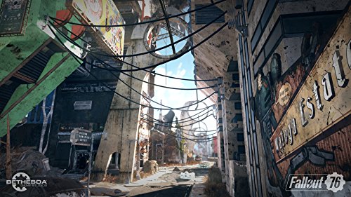 Fallout 76 (PS4)