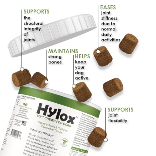 Pet Health Solutions Hylox Soft Chews for Dogs - Supports Joints & Cushions Connective Tissues - Glucosamine - Alpha Linolenic Acid - Creatine -120 Soft Chews