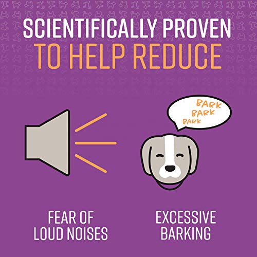 SENTRY PET Care Sentry Calming Collar for Dogs, Anxiety Reducing Pheromone Collar, Releases Pheromones for 30 Days, Helps Calm During Loud Noises and Separation, 1 Count, Purple