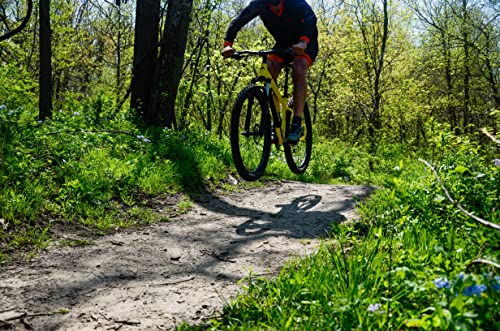 Head Berm 29er Mountain Bike in 3 Sizes