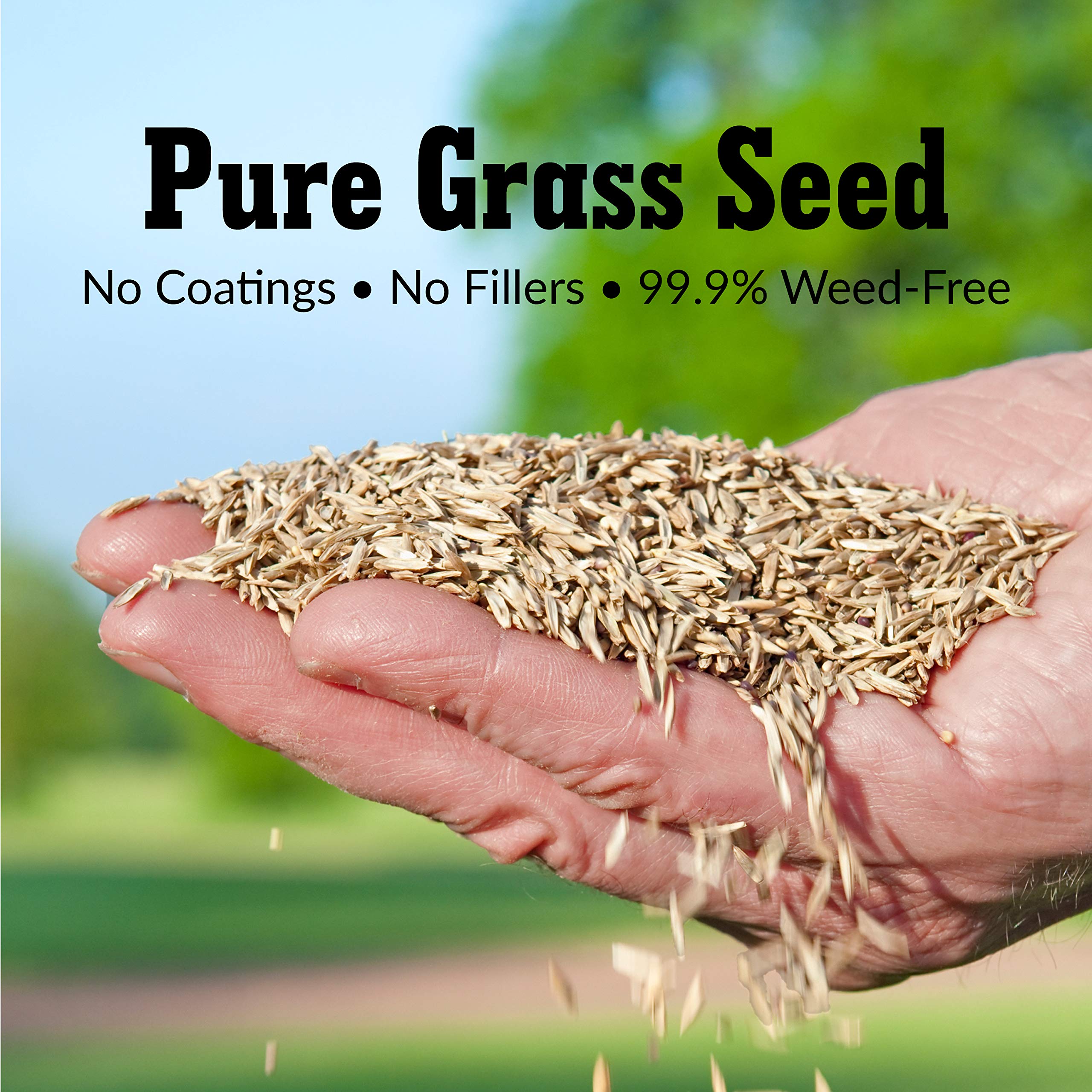 GreenView Fairway Formula Grass Seed Perennial Ryegrass Blend - 20 lb. Bag