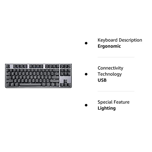 G.SKILL USB KM360 Professional Tenkeyless Mechanical Keyboard, Cherry MX Red, ABS Dual Injection Keycap, (Black)
