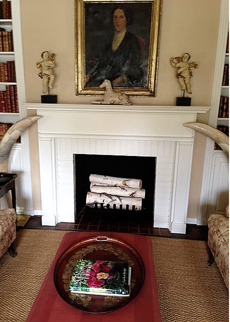Wilson Large Birch Fireplace Logs, Decorative, Natural Bark Home Décor - 15.5-17.5 in Length 3-5 in Dia. (Set of 5)