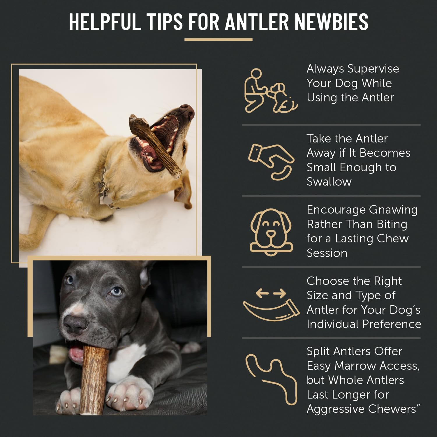 The Antler Box Premium Elk Antler Dog Chews (1 Piece Box) (Split, X-Large (6-8Oz)