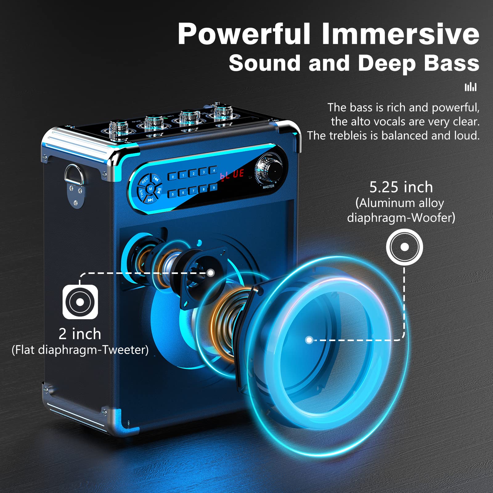 HWWR Karaoke Machine with 3 Wireless UHF Microphones for Adults, Portable Bluetooth Speaker, Party Speaker with Disco Lights for Outdoor, PA System Karaoke Speaker Support TWS, Unpowered Cabinets