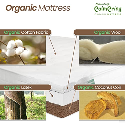 NATURAL LIFE PALMPRING Kochi Queen Mattress - Organic Latex Coconut Coir 6β Medium Firm 2 Layer Comfortable Sleep Bed Dust Free