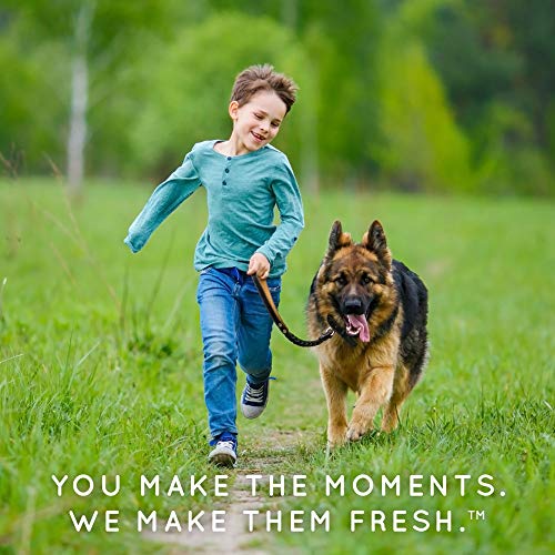 TropiClean Natural Flea & Tick Spot On Treatment for Medium Dogs 35 to 75 lbs.