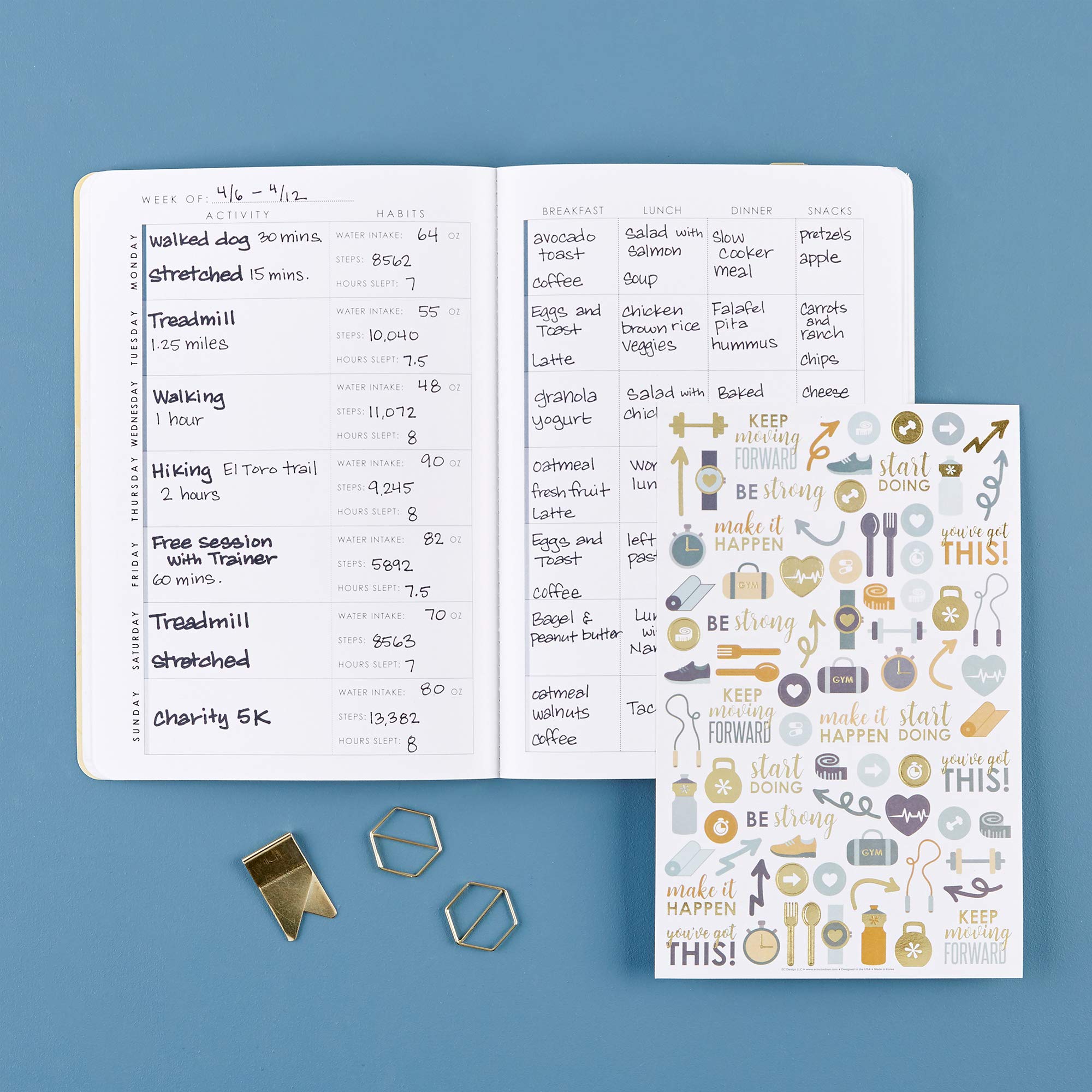 Focused Wellness Log, Petite Planner & Agenda. Features Sleep Log & Tracker, Water Intake, Step Track & Health Goal Log. Includes Motivational Sticker Set by Erin Condren