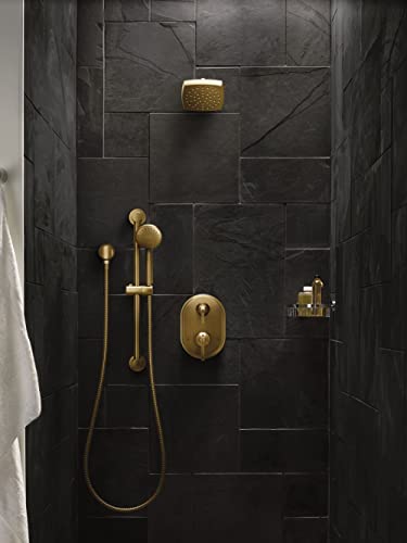 Moen Brushed Gold Eco-Performance Single Function Handheld Shower with 24-Inch Slide Bar, 3868EPBG
