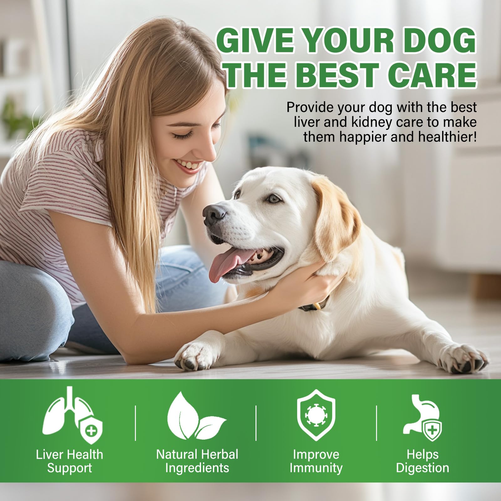 Milk Thistle for Dogs, Milk Thistle Treatment Support Liver & Kidney Improve Healthy Function for Pets, Dog Liver Supplement Milk Thistle Drops