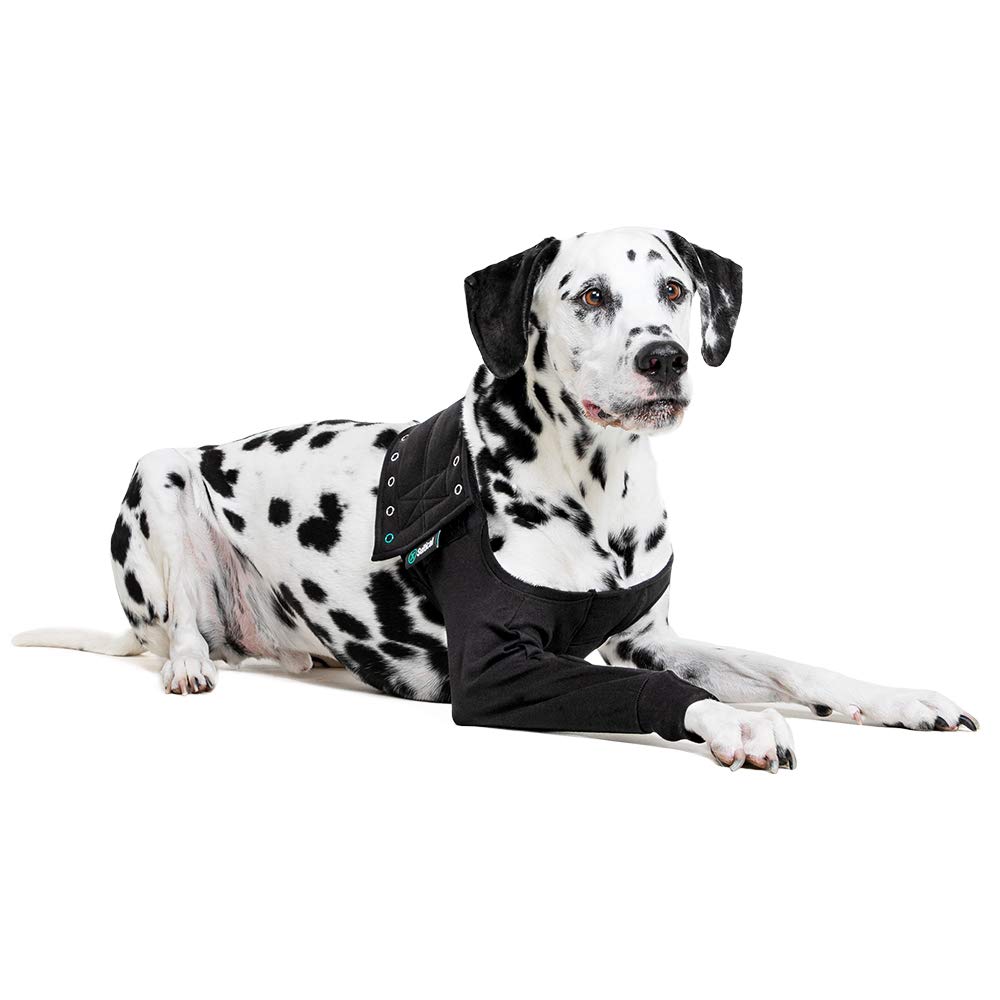 Suitical Recovery Sleeve for Dogs | Front Leg Protection After Surgery | Dog Leg Sleeve to Stop Licking | Machine Washable | Chest Circumference 25.2”- 33.1” | Sleeve Length 13.8” | L | Single Sleeve
