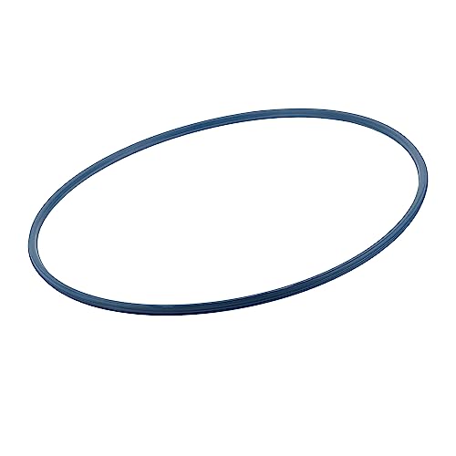 L Continue 1 Pcs DEX2422Z2 Metal Reinforced Seal,Replacement for Hayward C2030/C3030 C4030/C5030/C7030 and DE2420/DE3620/DE4820/DE6020/DE7220. (1, DEX2422Z2 Metal Reinforced Seal)