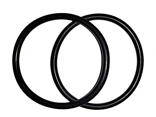 R172009 O-Ring For Pentair Model 300/320 Pool and Spa Chlorinator Lid (2/Pack)
