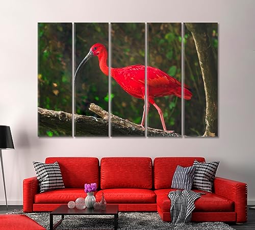 Exotic Bird Scarlet Ibis Canvas Print 1 Panel / 36x24 inches