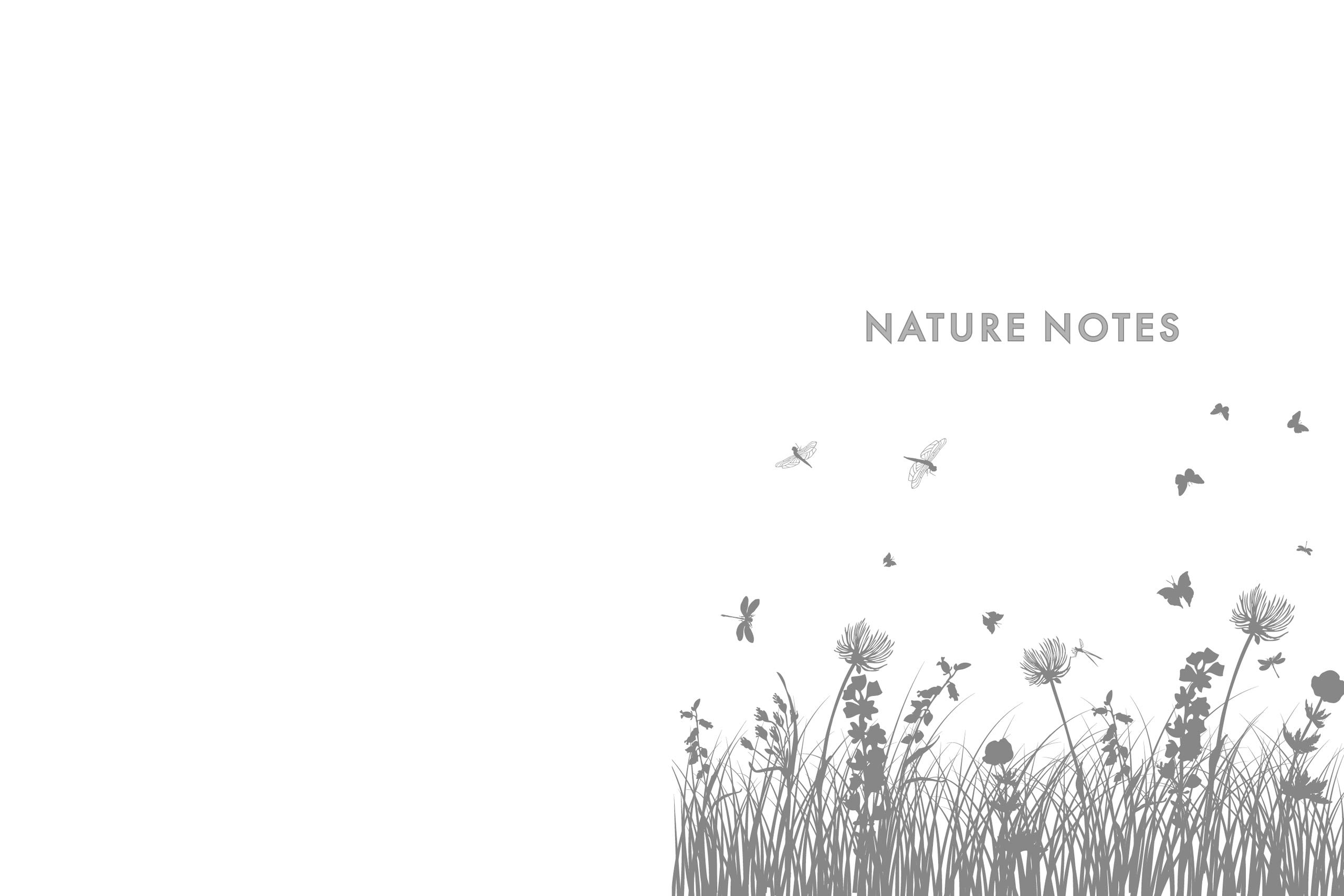 Wildlife Contemplations: Reflections on Our Living World