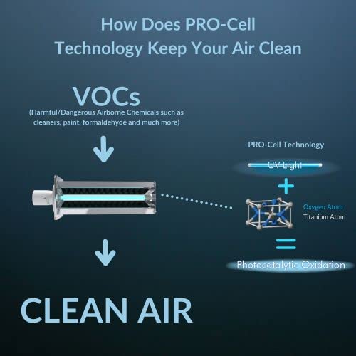 Haven Plus HVAC Air Purifier and Replacement Lamp | Powerful 16" Uvc Lamp, Pco & Carbon Filters | Cleans the HVAC System | Diy Install In As Little As 15 Minutes