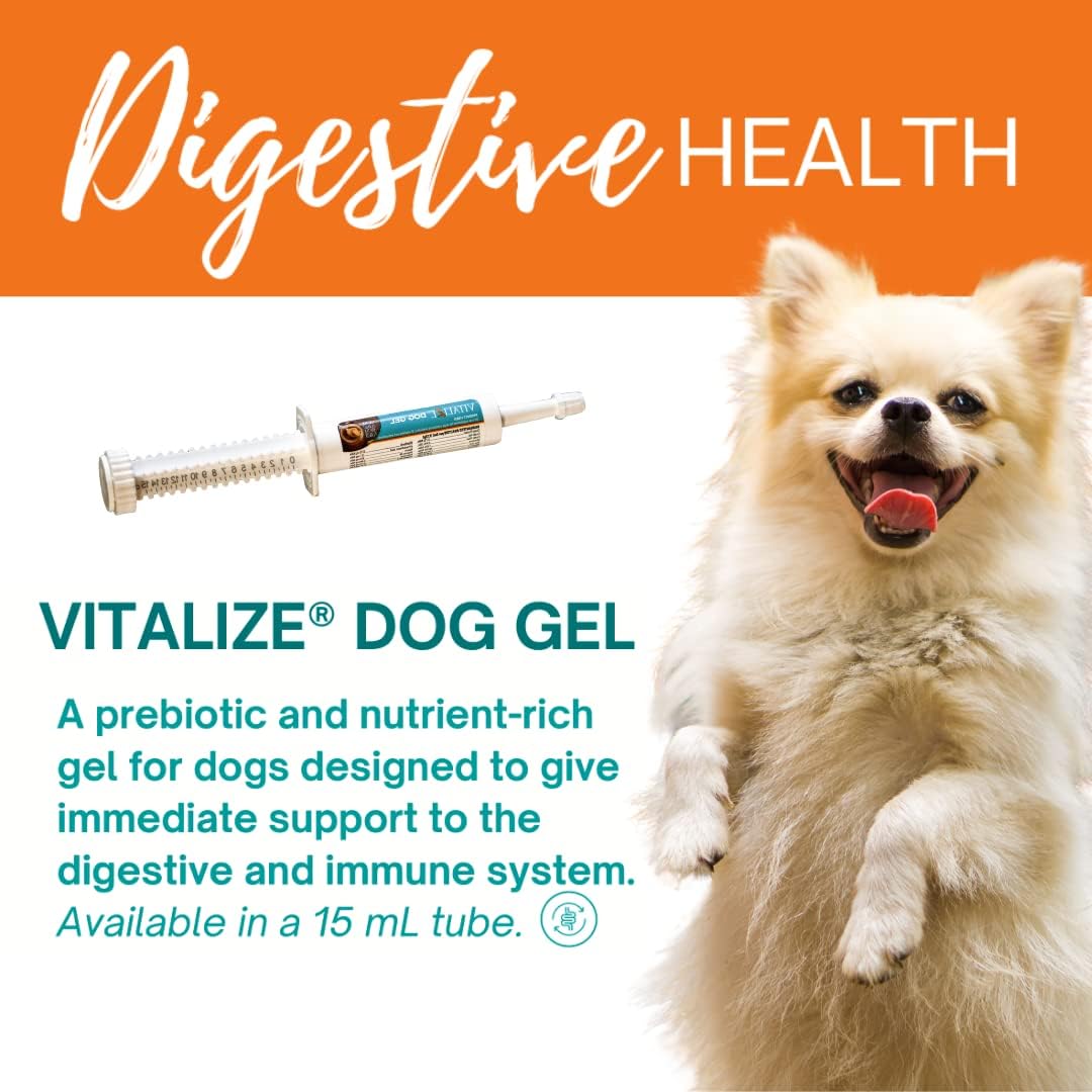 Vitalize Dog Gel - After Surgery Recovery & Probiotics Alternative Immune Support Booster Supplement for Dogs Digestive & Gut Health - Liquid Gel Paste (15 ml)