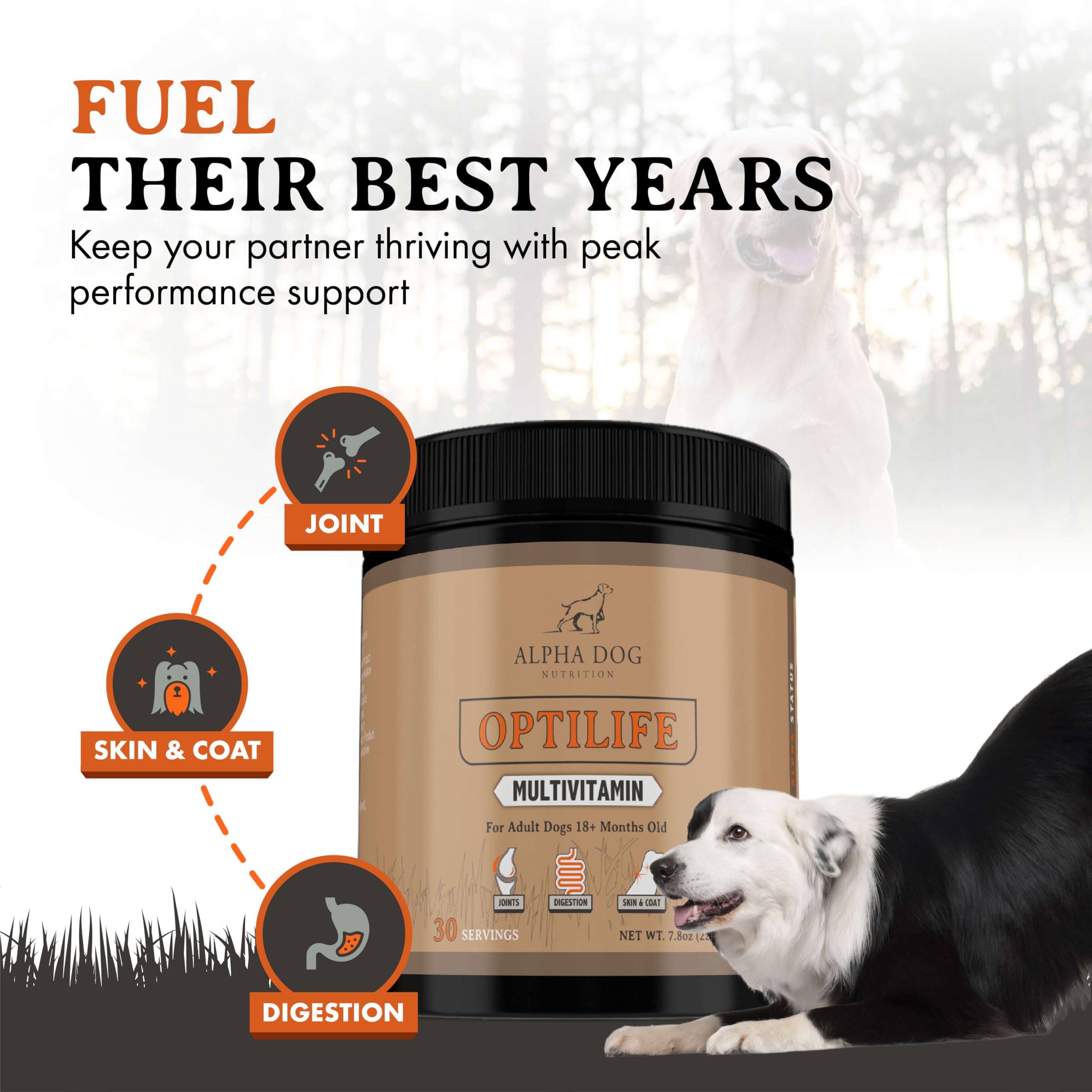 OptiLife Multivitamin for Adult Dogs - Contains Probiotics, Allergy Support, Joint Support, Muscle Recovery, and Skin & Coat Support - Powder Supplement (60 Servings)