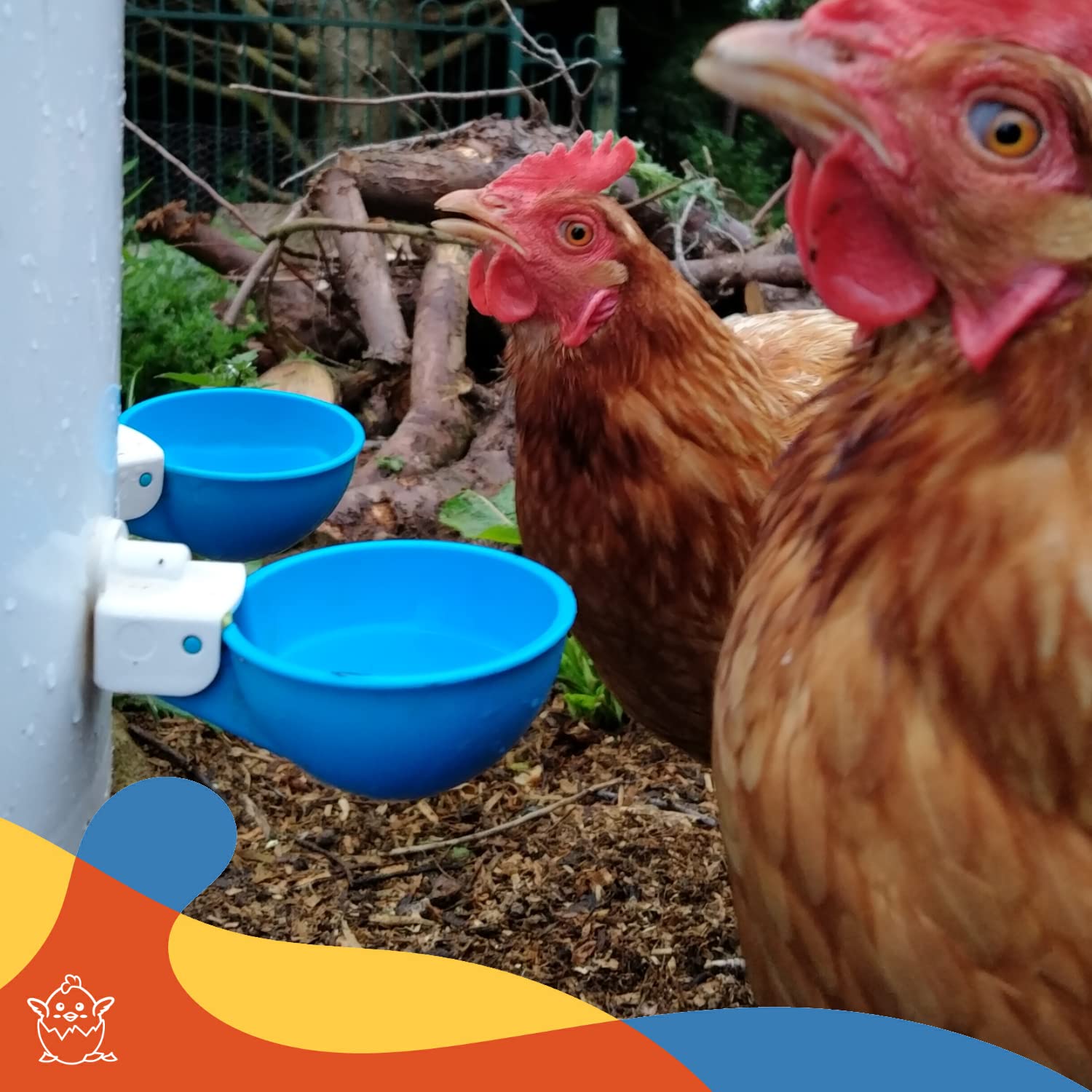 Lil Clucker - Blue Large Automatic Chicken Waterer Cups Suitable for Ducks, Geese, Turkeys, and Bunny Rabbit - Water Feeder Kit - Poultry Waterer - Pack of 5