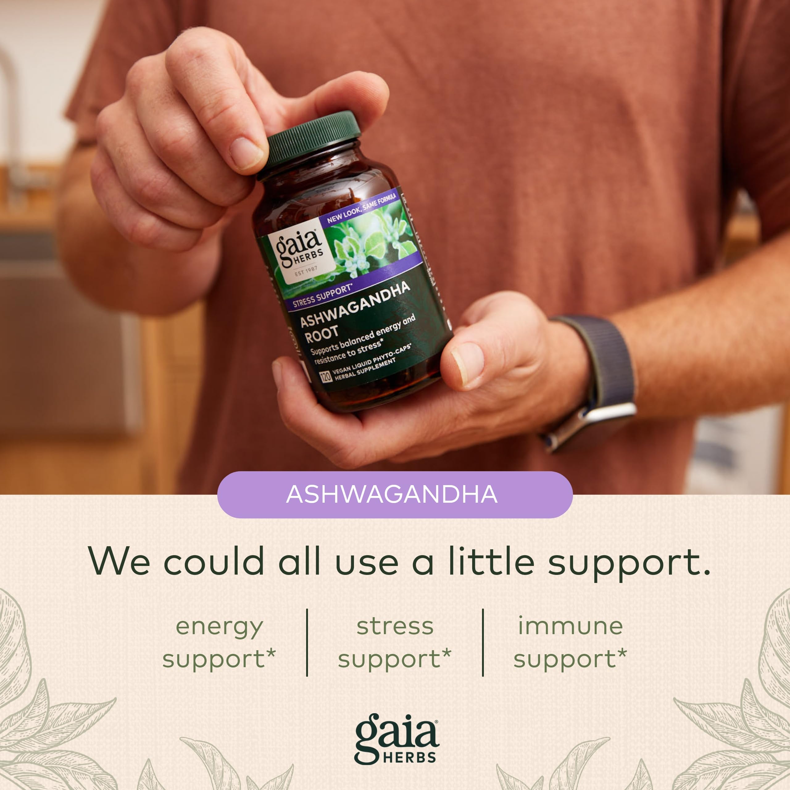 Gaia Herbs, Ashwagandha Root Vegan Liquid Phyto Capsules - Stress Relief, Immune Support Supplement, Balanced Energy Levels and Mood, 60-Count (Pack of 1)