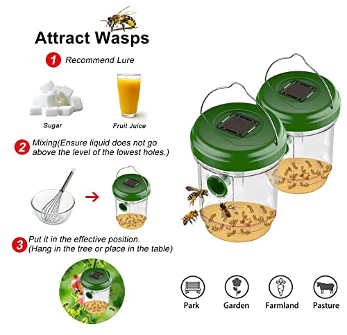 KENW Wasp Trap, 2 Pack Wasp Traps Outdoor Hanging, Solar-Powered Yellow Jacket Trap, Bee Traps for Outside, Hornet Trap, Wasp Killer, Effective Hornet Traps Outdoor Hanging, Bee Catchers for Outside
