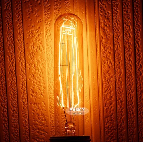 T25/T28 Candelabra Vintage Bulbs,Incandescent Filament Light Bulb,E12 Candelabra Base(40W),Light Bulbs 110-130V (40)