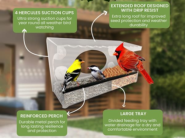Large Clear Window Bird Feeder - Extended House with Strong Suction Cups - Steel Perch Sliding Feed Seed Tray - See Through Transparent Big Birdhouse - Wild Finch, Cardinal, Blue Jay - Cool Cat Gift