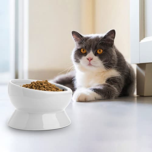 Nucookery Ceramic Cat Food Bowl Elevated,Raised Tilted Bowl Protect Pets' spines and Neck, Anti Vomiting Cat Bowl, Small Dog cat Kitten Supplies (5β, Pure White)