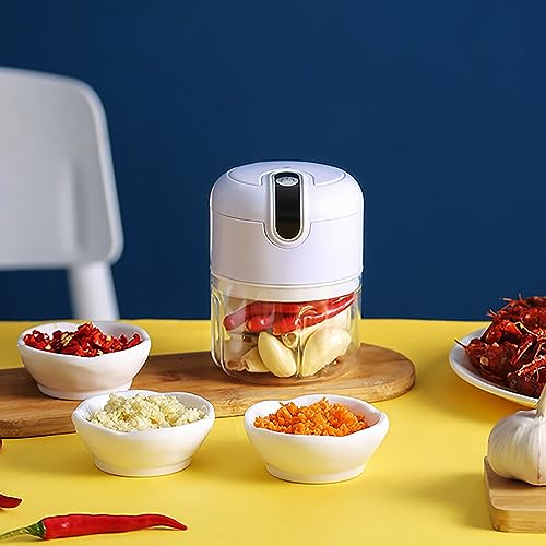 Multi Functional Cooking Electromechanical Meat Mince Machine Home Meat Grinder Garlic Rope (White, One Size)