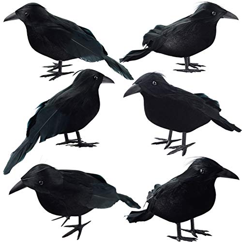 Realistic Crow, 6 PCS Halloween Black Feathered Crow Decoys Ravens Outdoor Halloween Decorations Props Décor, Standing Flying Birds for Tree Haunted House Graveyard Tombstone Display